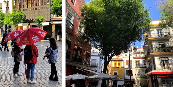 Seville Travel Guide | Everything You Need To Know About Visiting Seville