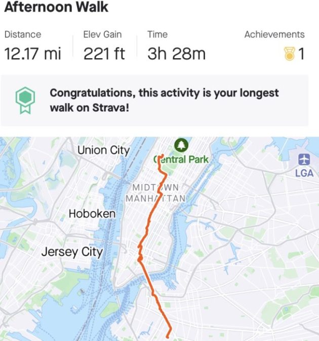 Allbirds Tree Flyers Review (2022) | Has Allbirds Made Legit Running Shoes?