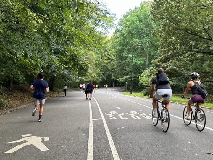 Allbirds Tree Flyers Review (2022) | Has Allbirds Made Legit Running Shoes?